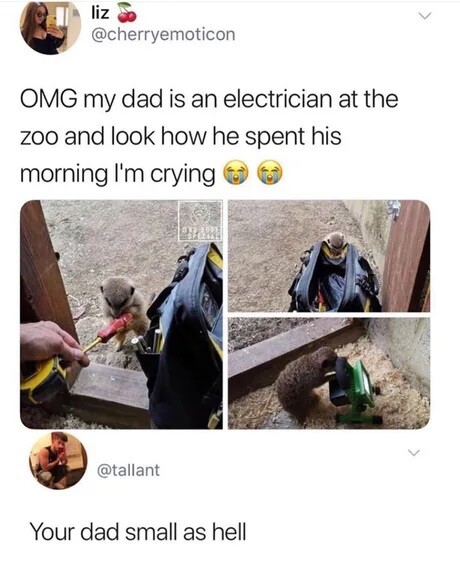 Funny Electrician Memes | Tradify™